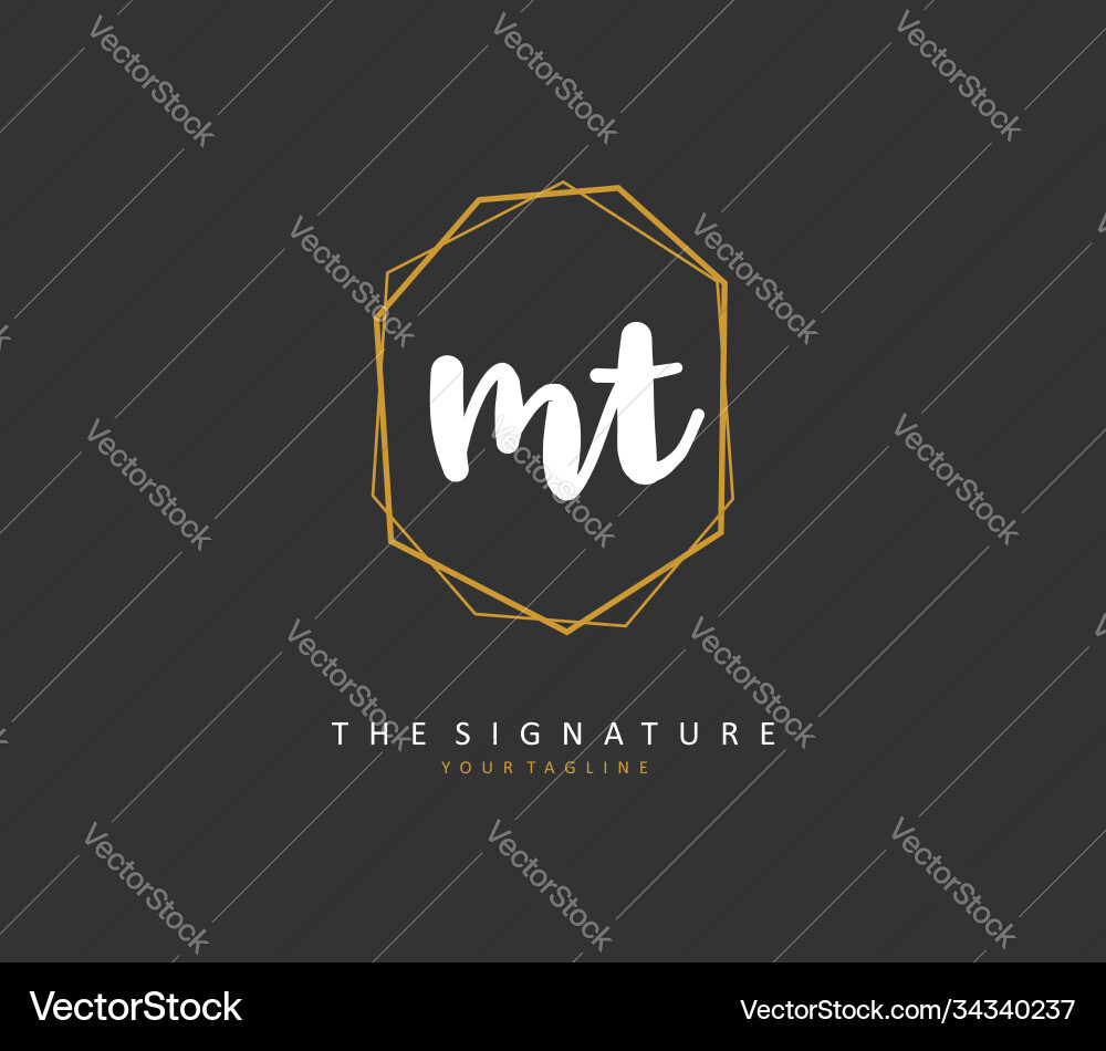 M t mt initial letter handwriting and signature Vector Image