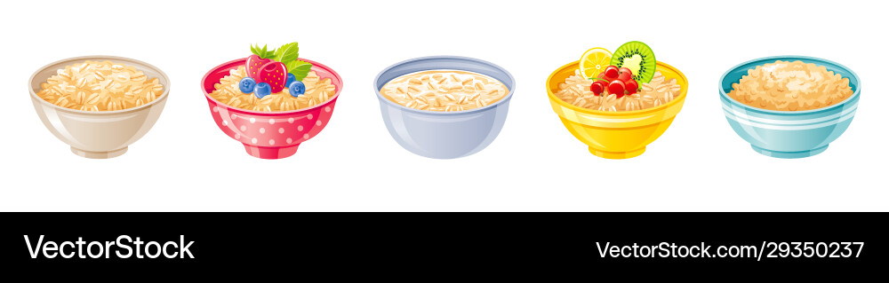 Oat bowl oatmeal breakfast cup oat grain Vector Image