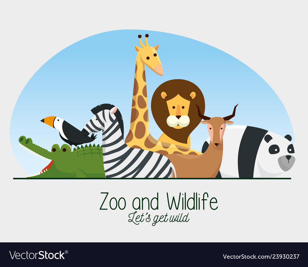 Zoo safari wild animals reserve Royalty Free Vector Image