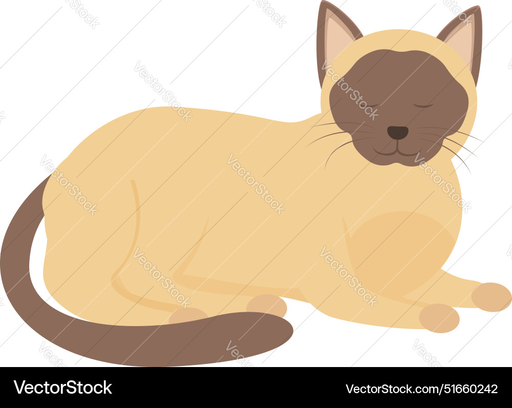 Cute siamese cat relaxing with eyes closed Vector Image