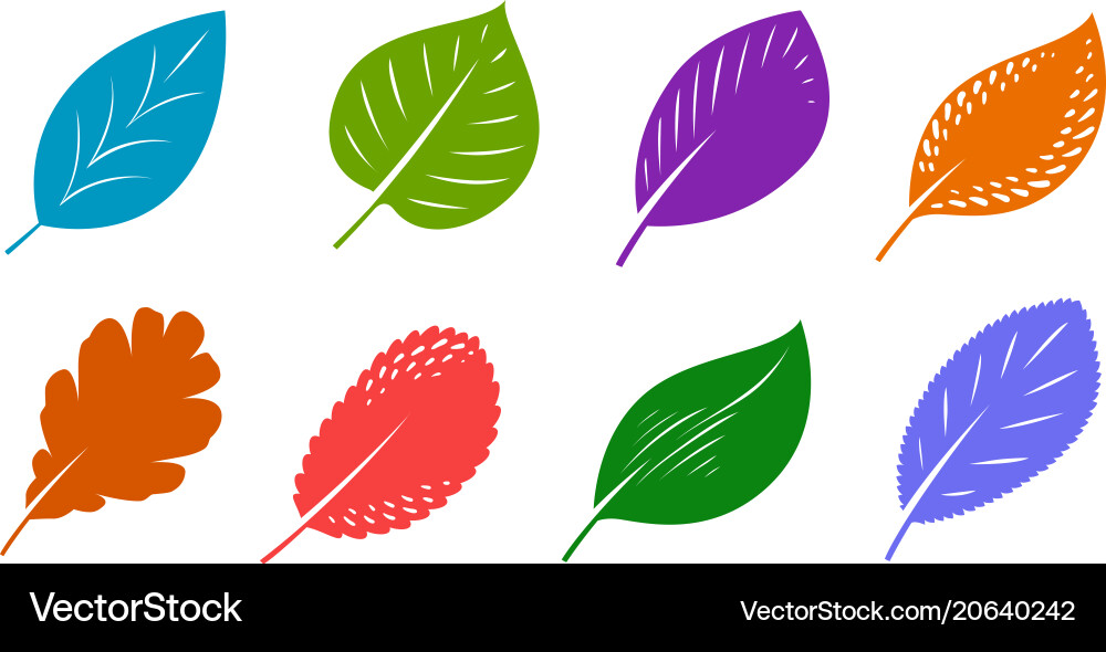 Decorative leaves set autumn nature concept Vector Image
