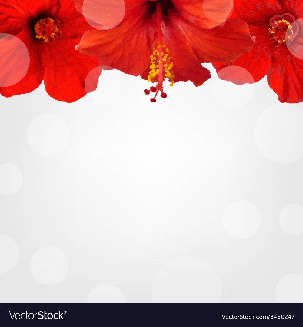 Flowers Border Royalty Free Vector Image - VectorStock