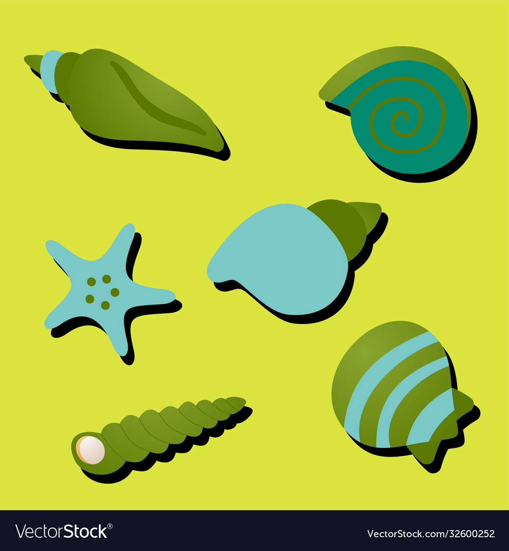 Sea shells and star Royalty Free Vector Image - VectorStock
