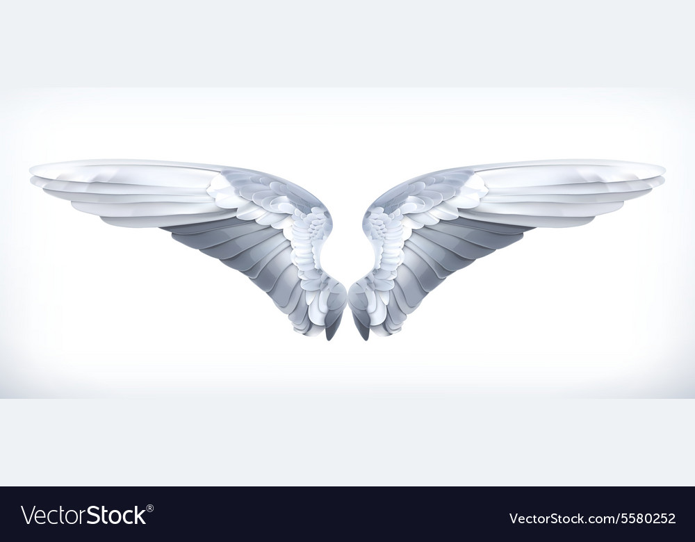 Wings Royalty Free Vector Image - VectorStock