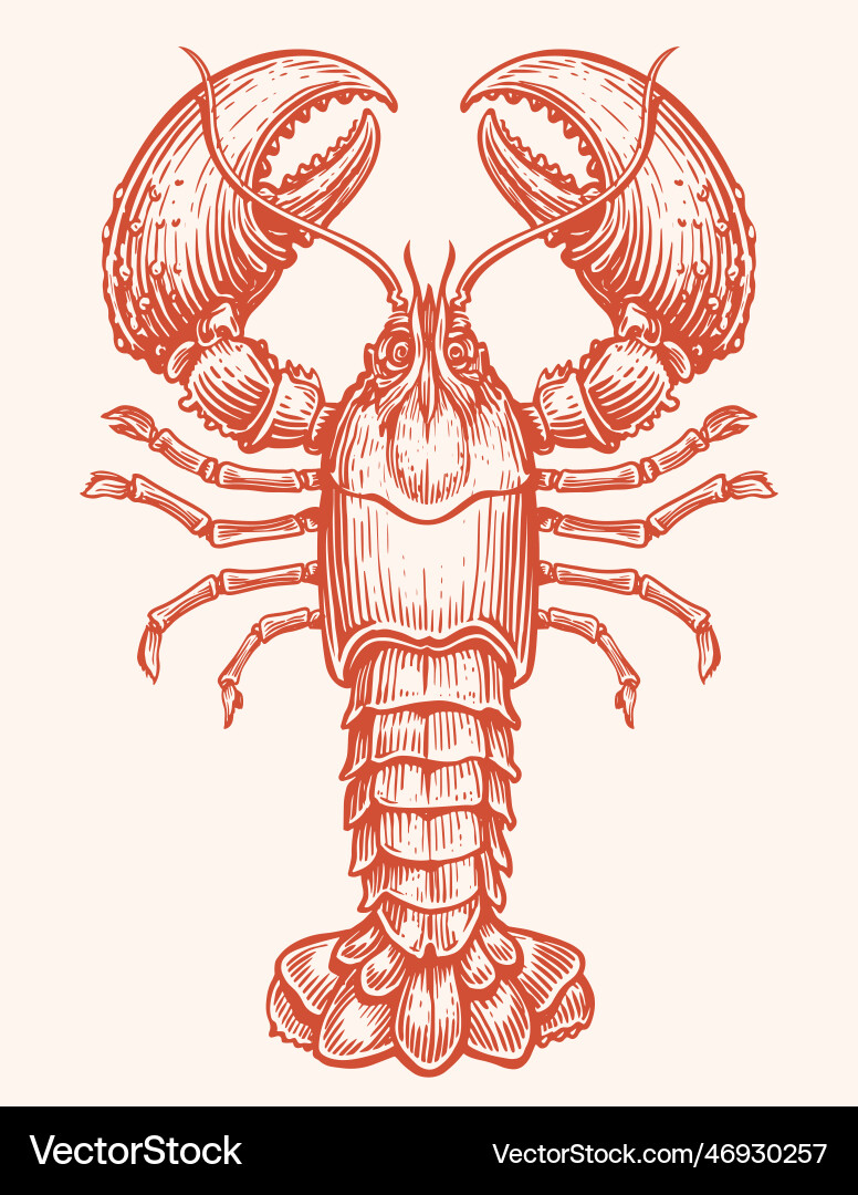 Crayfish seafood crustacean aquatic Royalty Free Vector