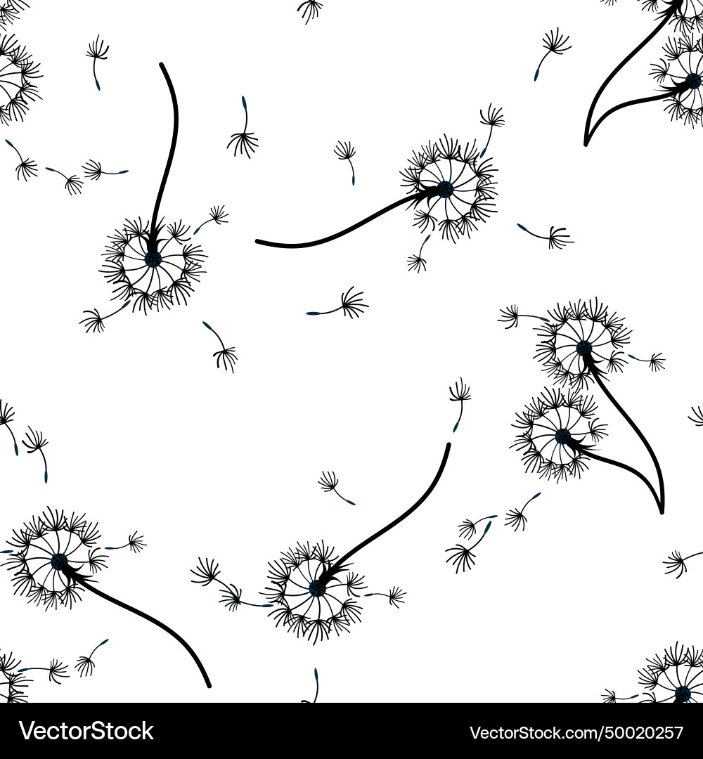 Dandelion background your design abstract floral Vector Image