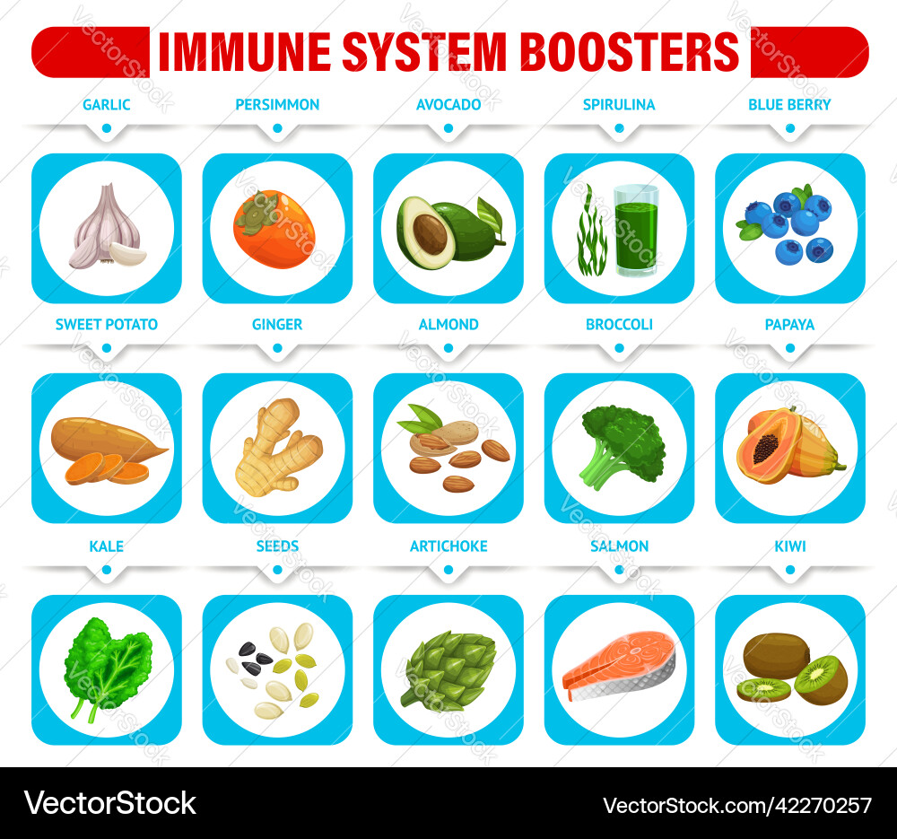 Immune System Chart