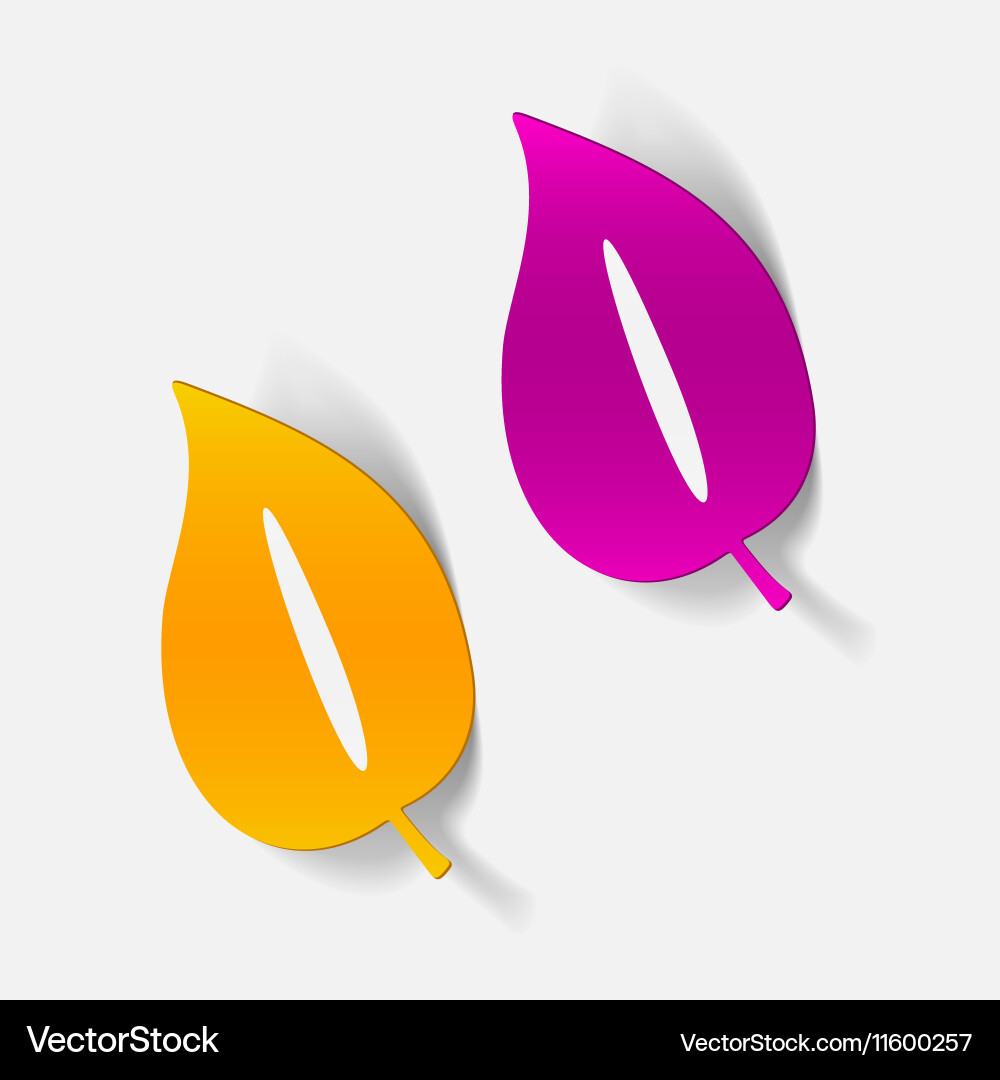 Realistic design element Royalty Free Vector Image