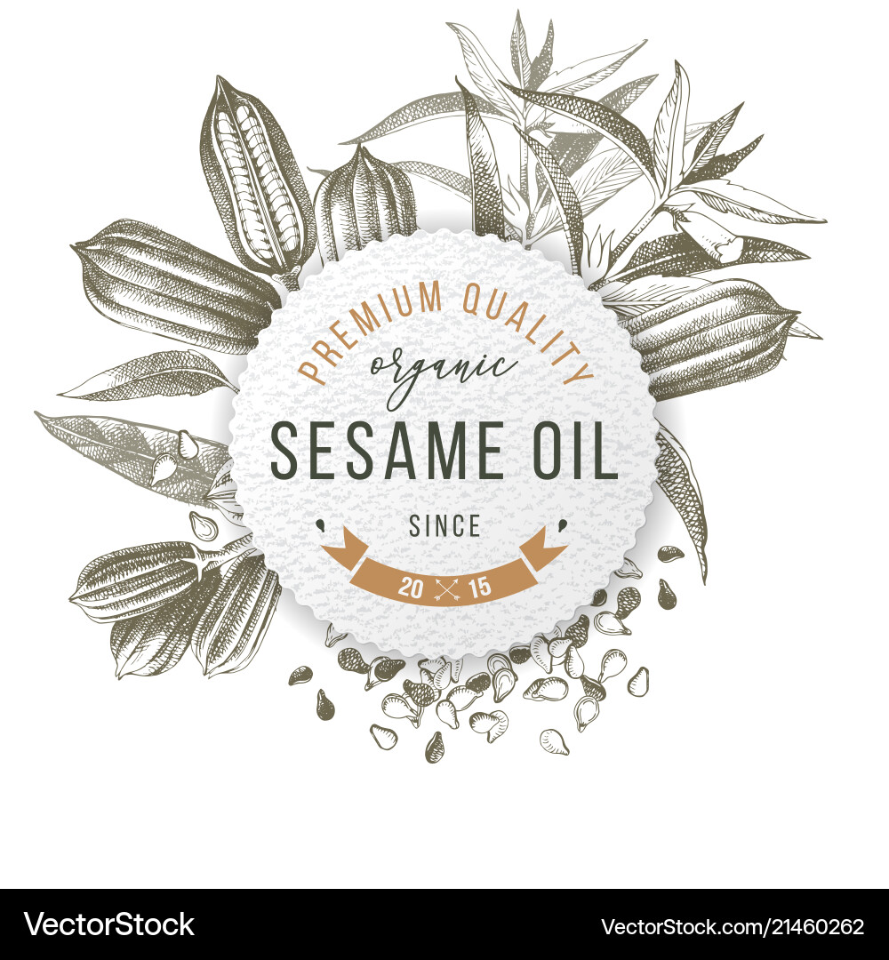Emblem with type design sesame plant and seeds Vector Image