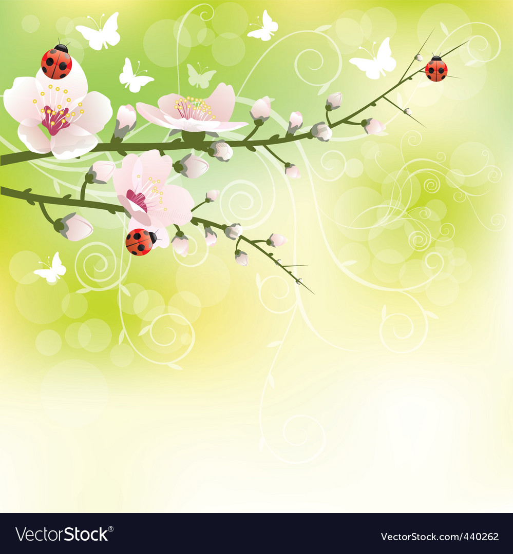 Spring blooming Royalty Free Vector Image - VectorStock