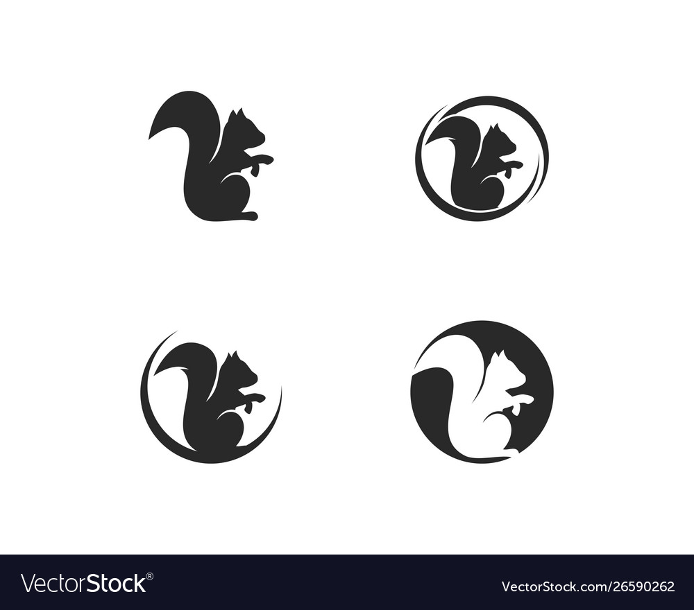 Squirrel logo Royalty Free Vector Image - VectorStock