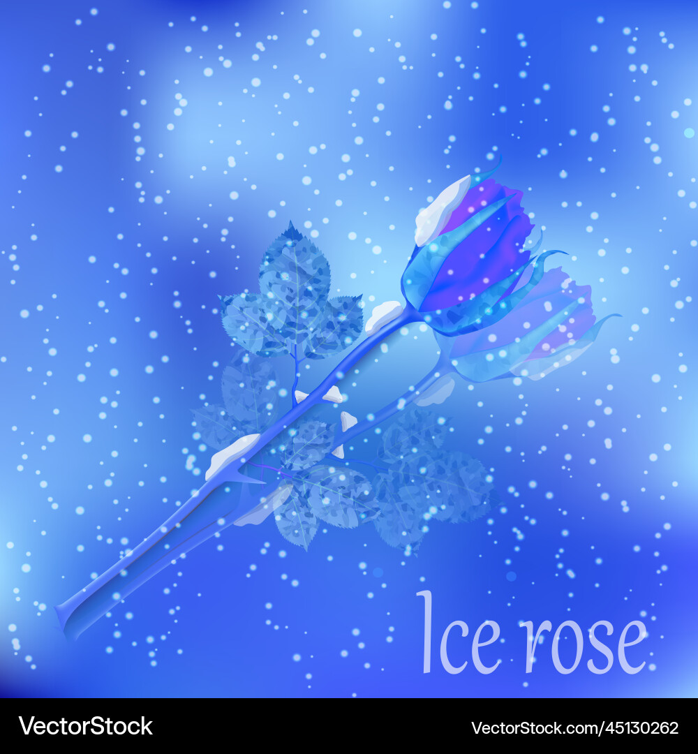Winter background with a frozen rose Royalty Free Vector