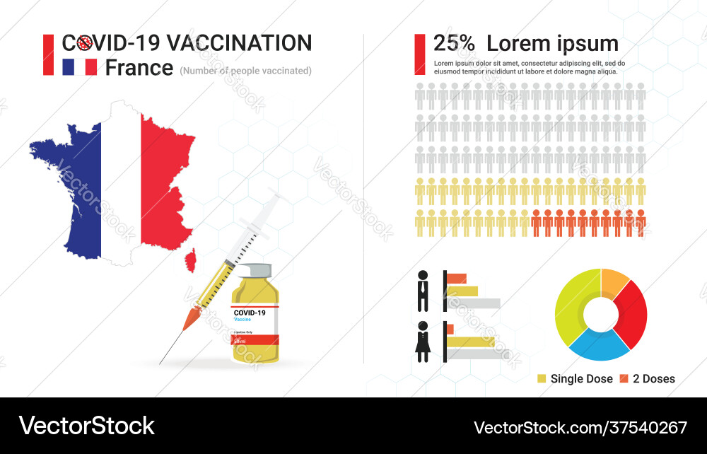 Covid19-19 vaccination infographic Royalty Free Vector Image
