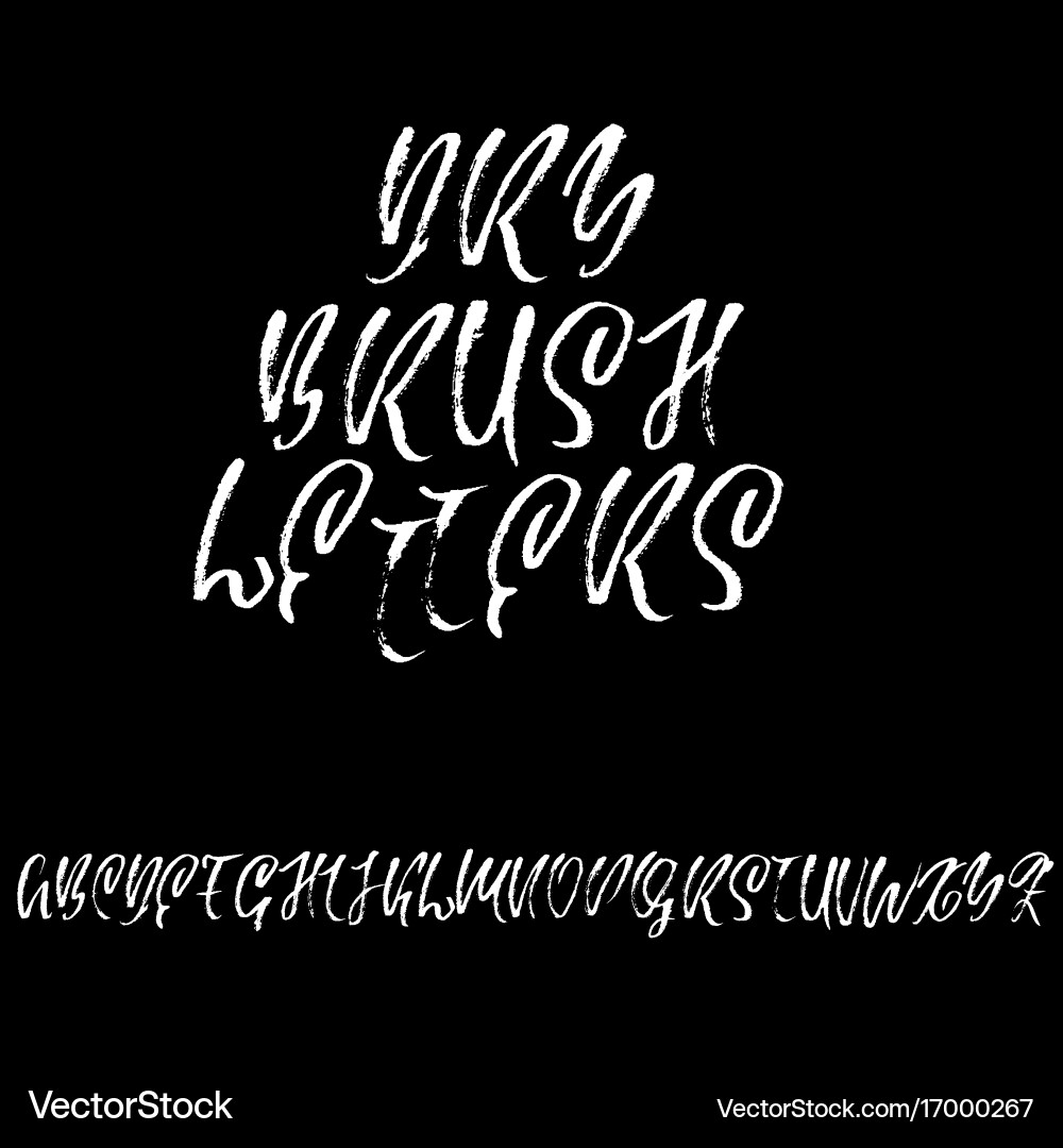 Hand drawn elegant calligraphy font modern brush Vector Image