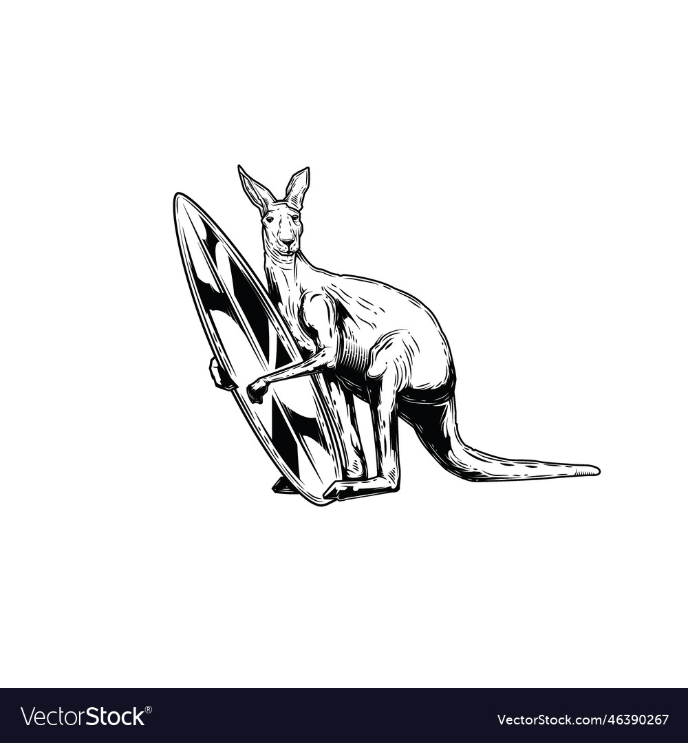 Kangaroo Royalty Free Vector Image - VectorStock
