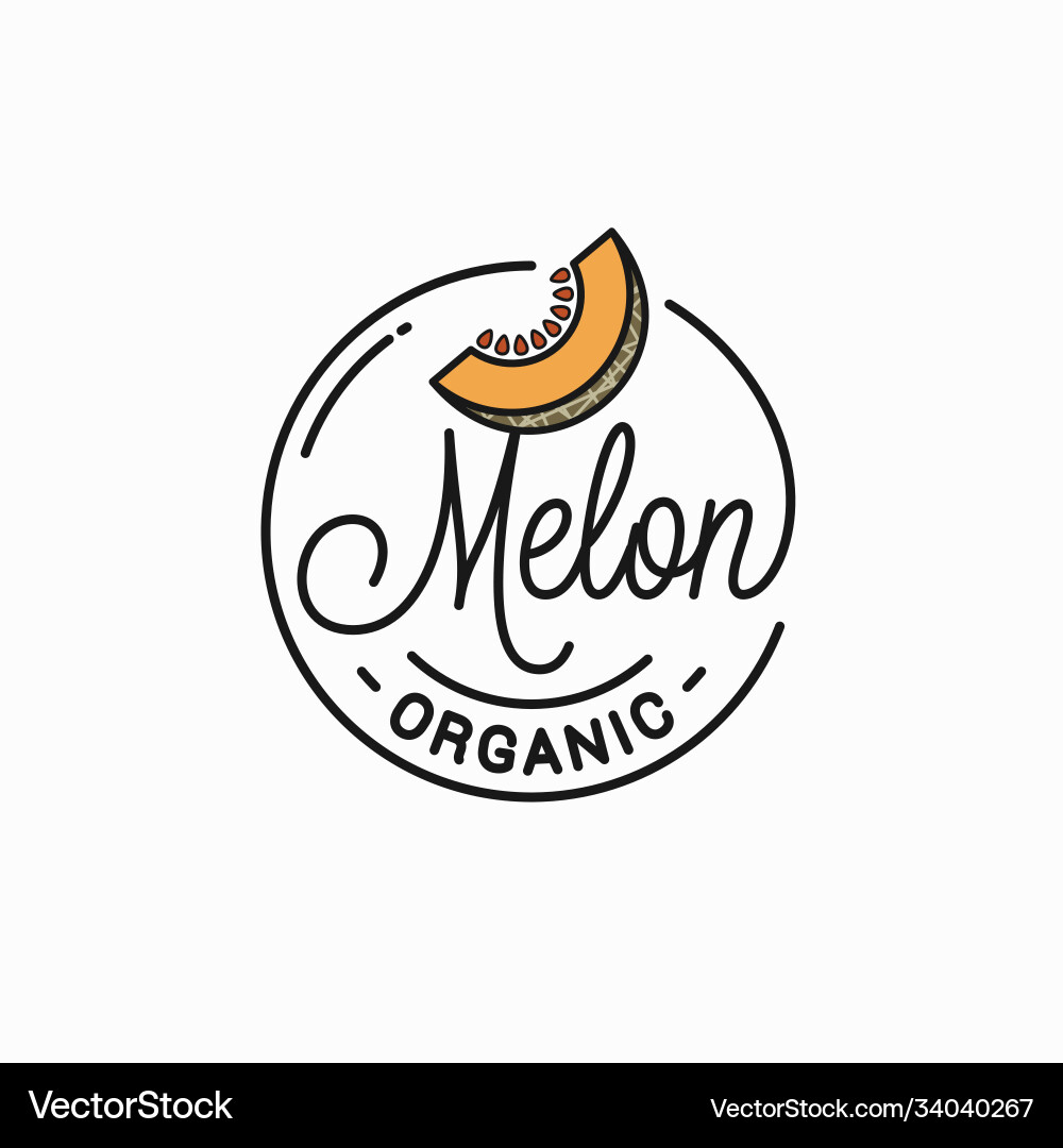 Melon logo round linear logo organic slice Vector Image