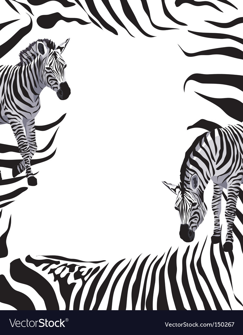 Zebra Royalty Free Vector Image - VectorStock