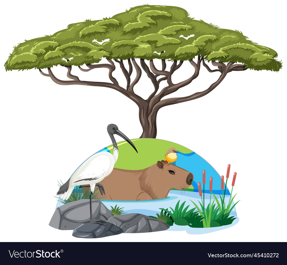 Capybara in nature pond Royalty Free Vector Image Capybara in nature pond Royalty Free Vector Image