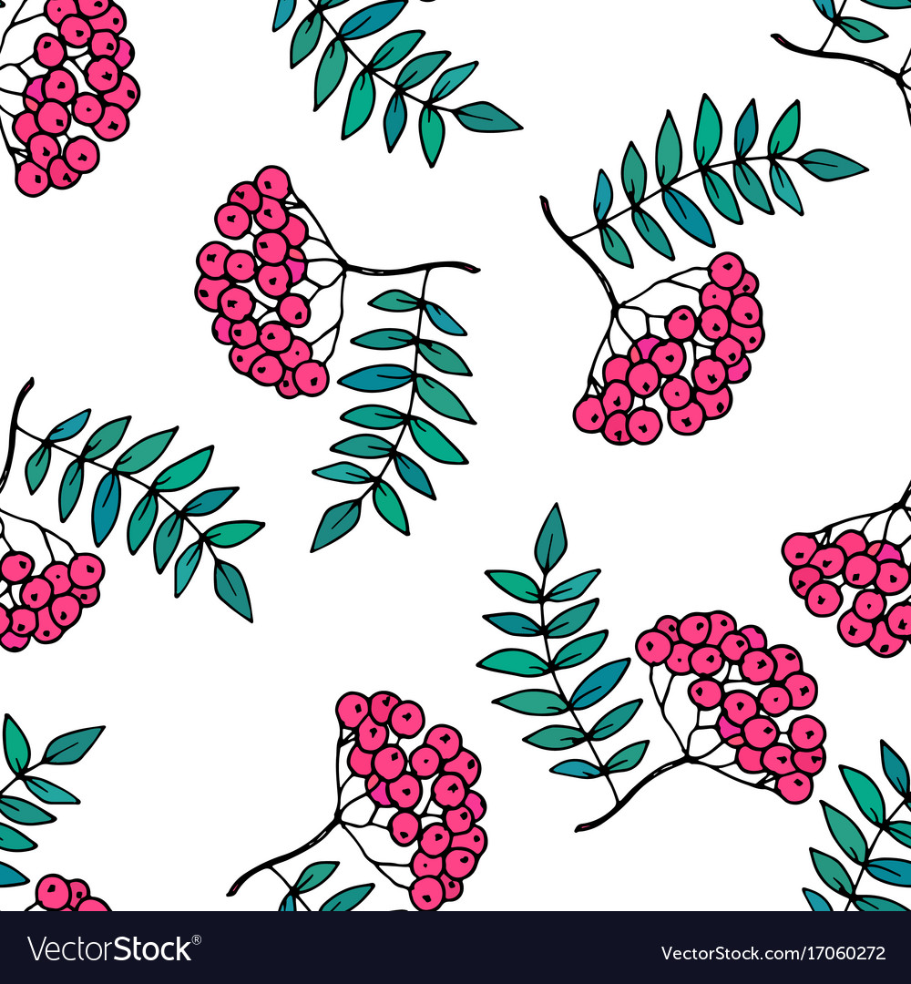 Rowan seamless pattern Royalty Free Vector Image