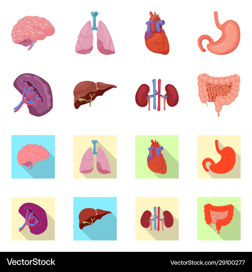 Design body and human symbol collection Royalty Free Vector