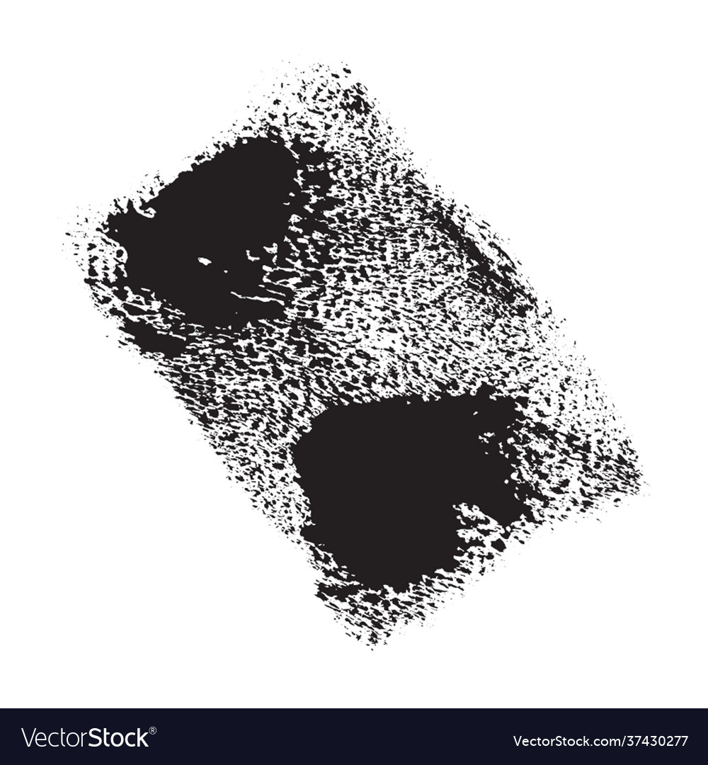 Paint roller texture Royalty Free Vector Image