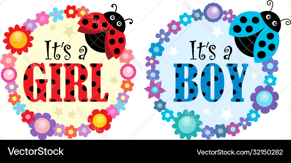 Is it a girl or boy topic 1 Royalty Free Vector Image