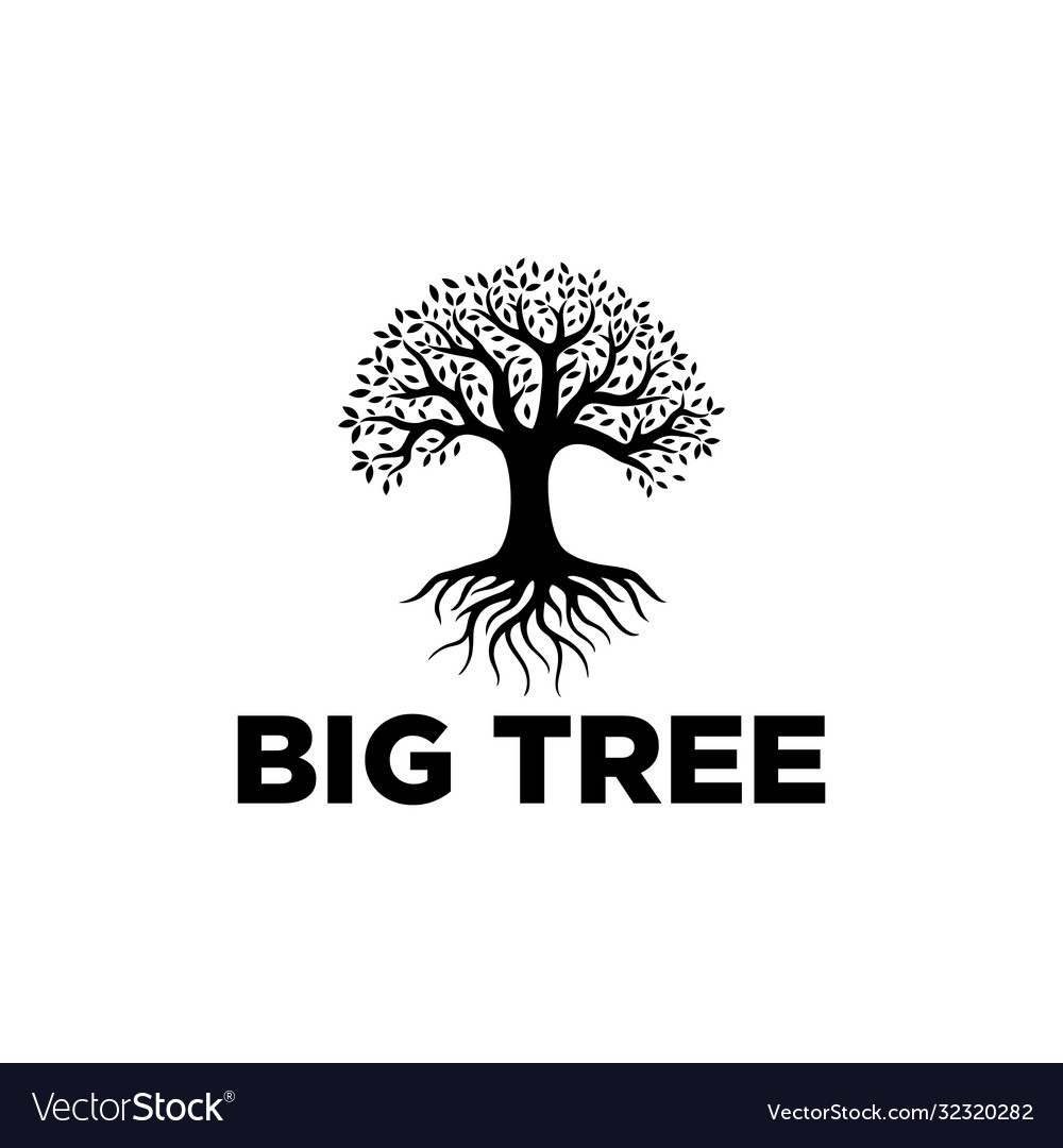 Oak tree sign Royalty Free Vector Image - VectorStock