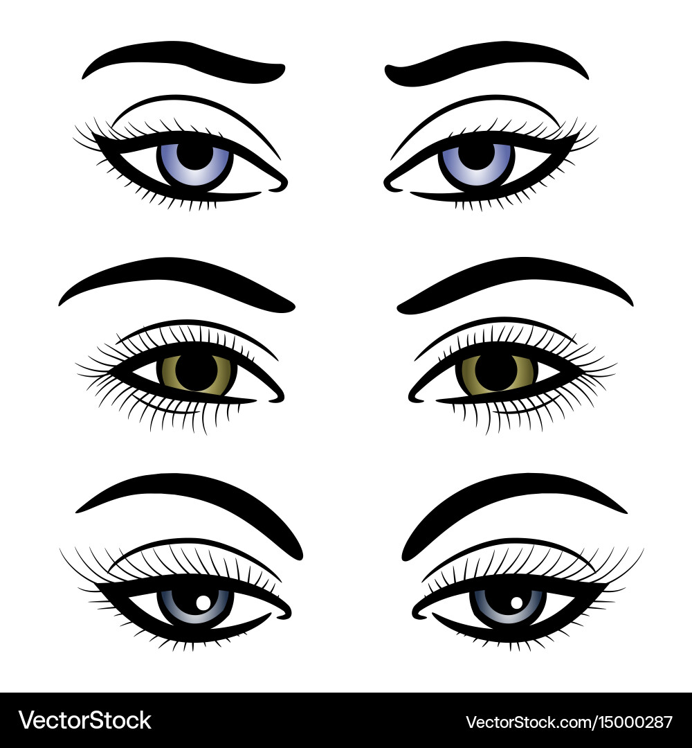 Colorful female eyes and brows Royalty Free Vector Image