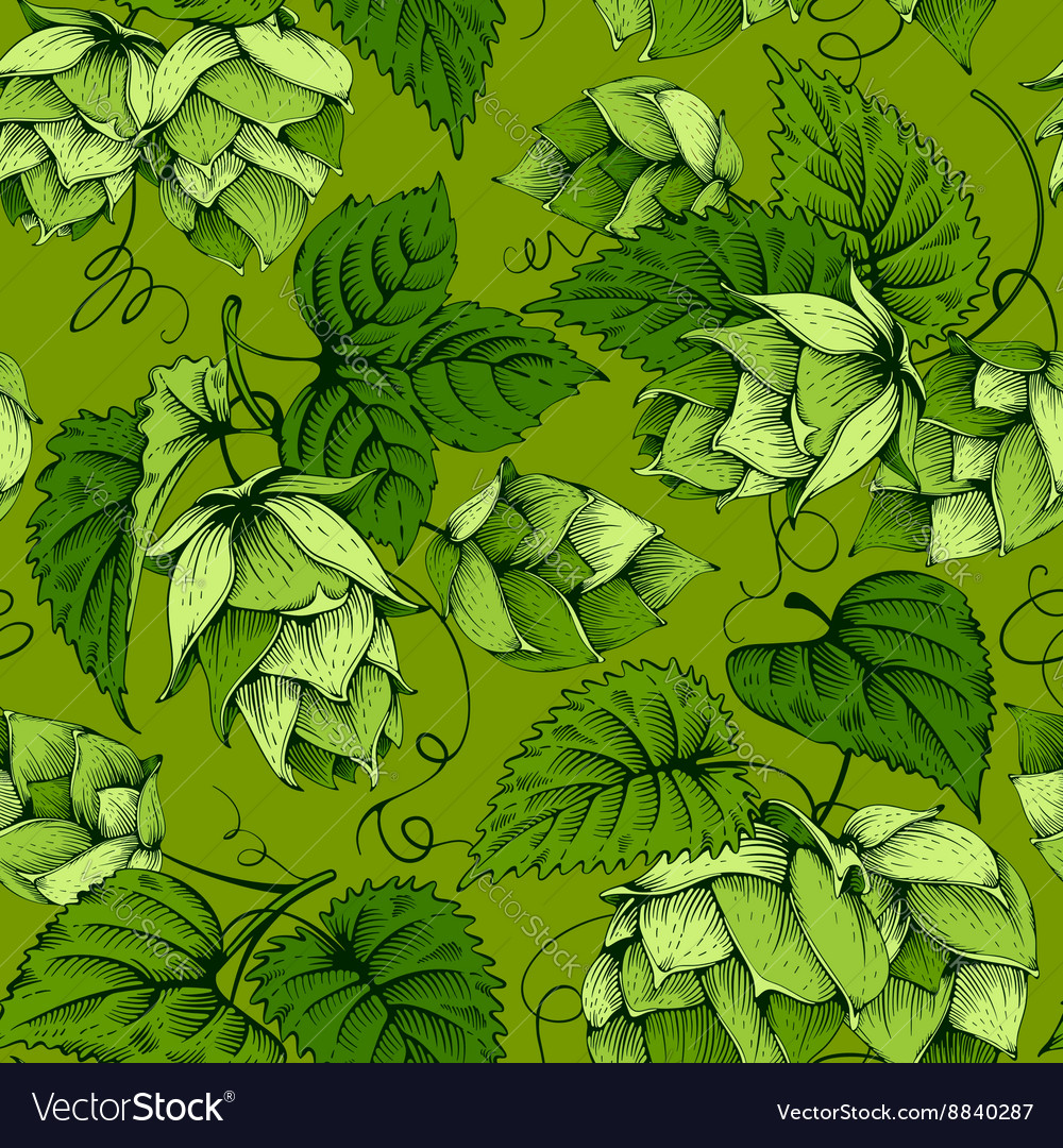 Hops seamless pattern Royalty Free Vector Image