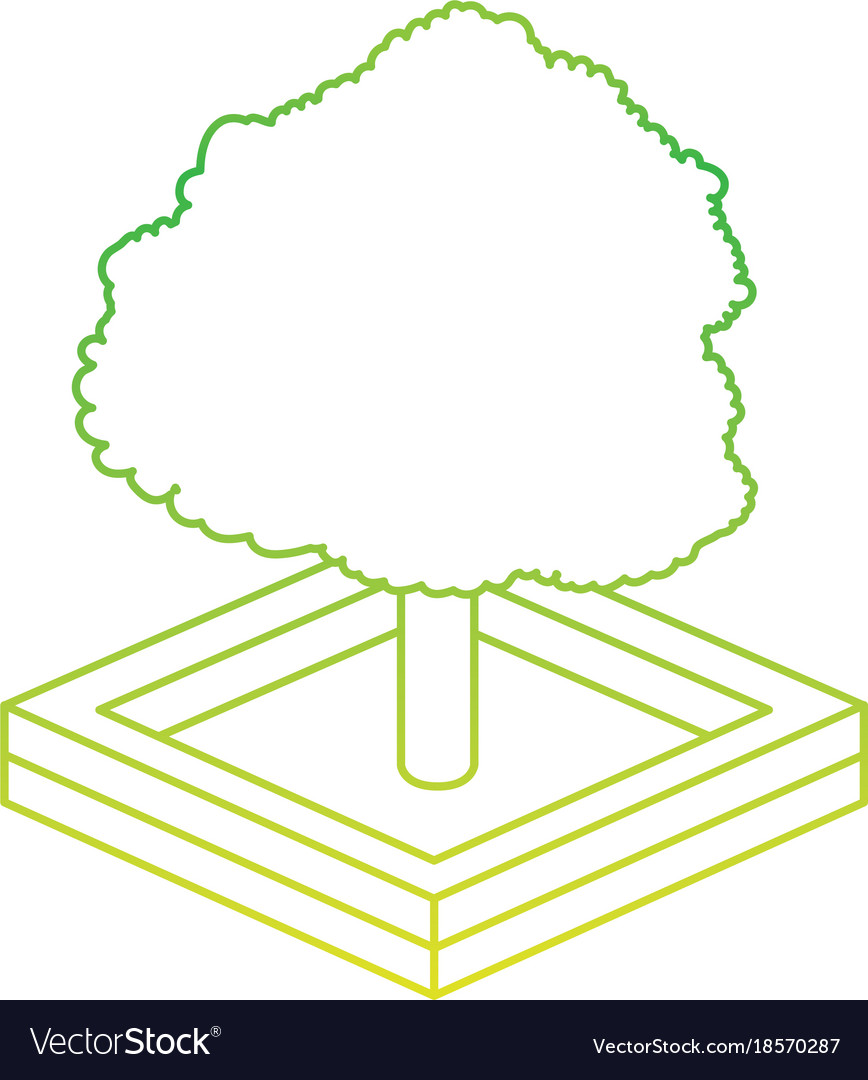 Isometric tree design Royalty Free Vector Image