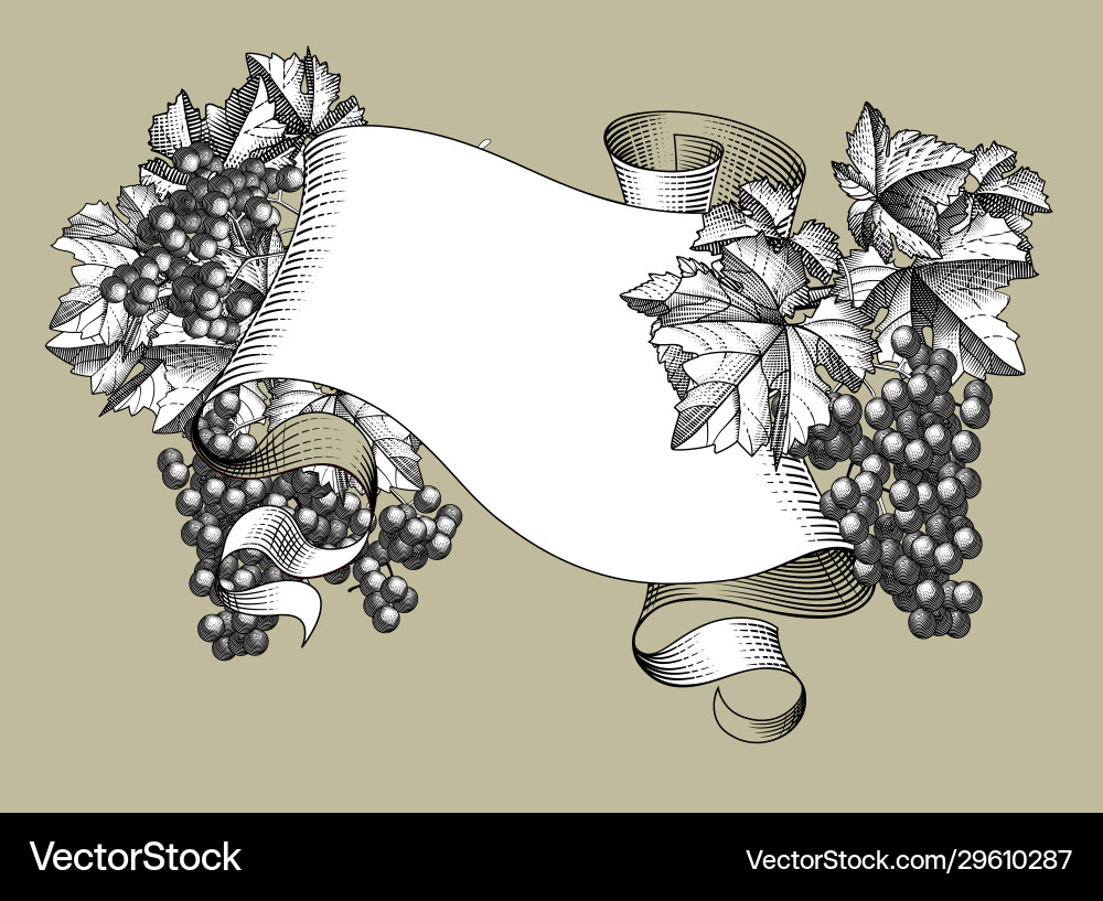 Ribbon banner with bunch grapes Royalty Free Vector Image