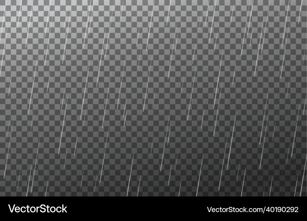 Rain drops isolated on transparent background Vector Image