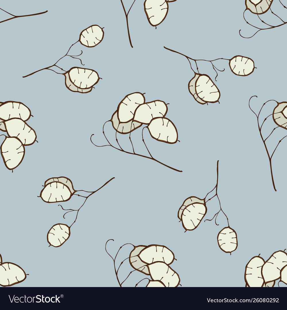 Seamless pattern with hand drawn colored lunaria Vector Image