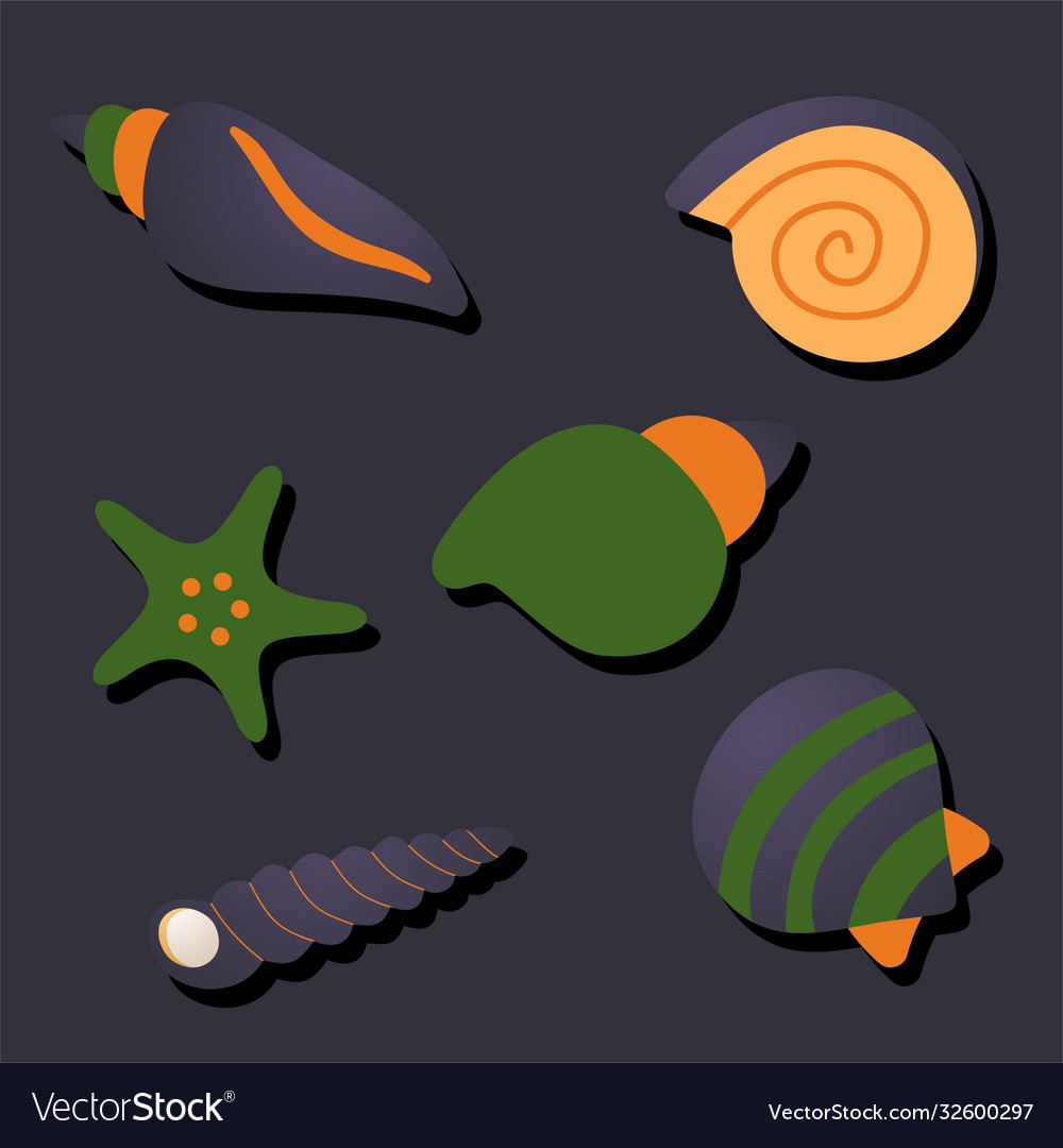 Sea shells and star Royalty Free Vector Image - VectorStock