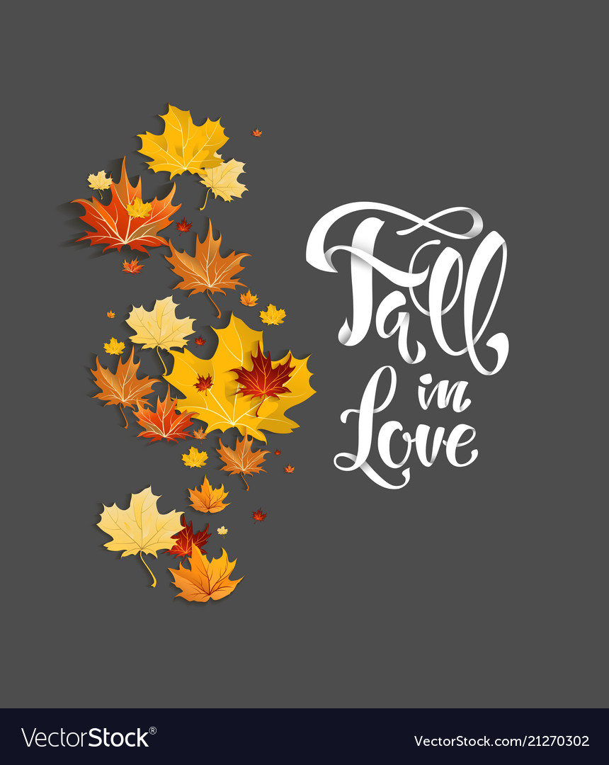 Fall leaves on dark background Royalty Free Vector Image