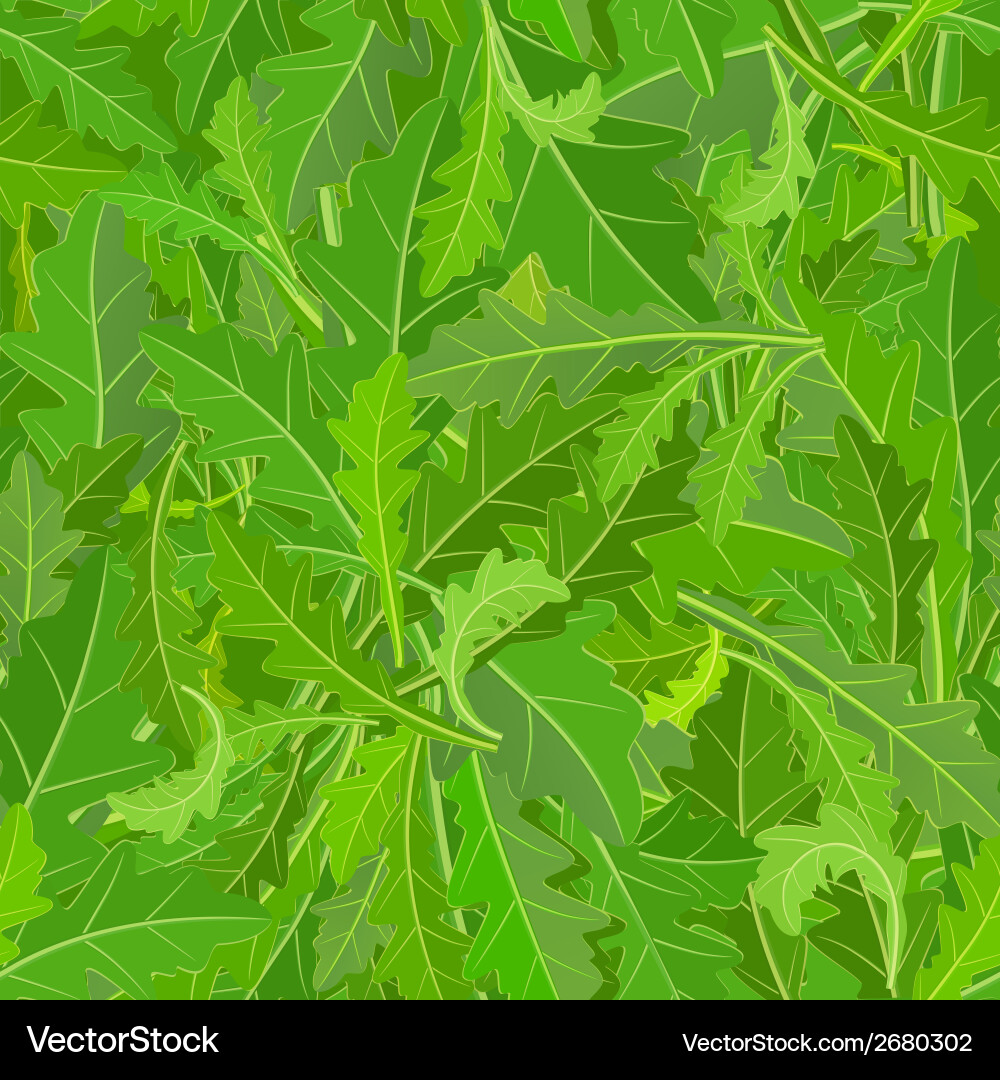 Seamless texture of leaf arugula Royalty Free Vector Image