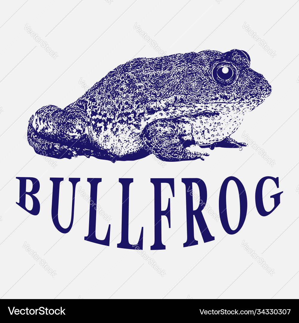 Bullfrog vintage logo graphic design Royalty Free Vector