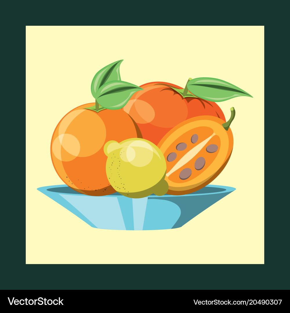 Citric fruits design Royalty Free Vector Image