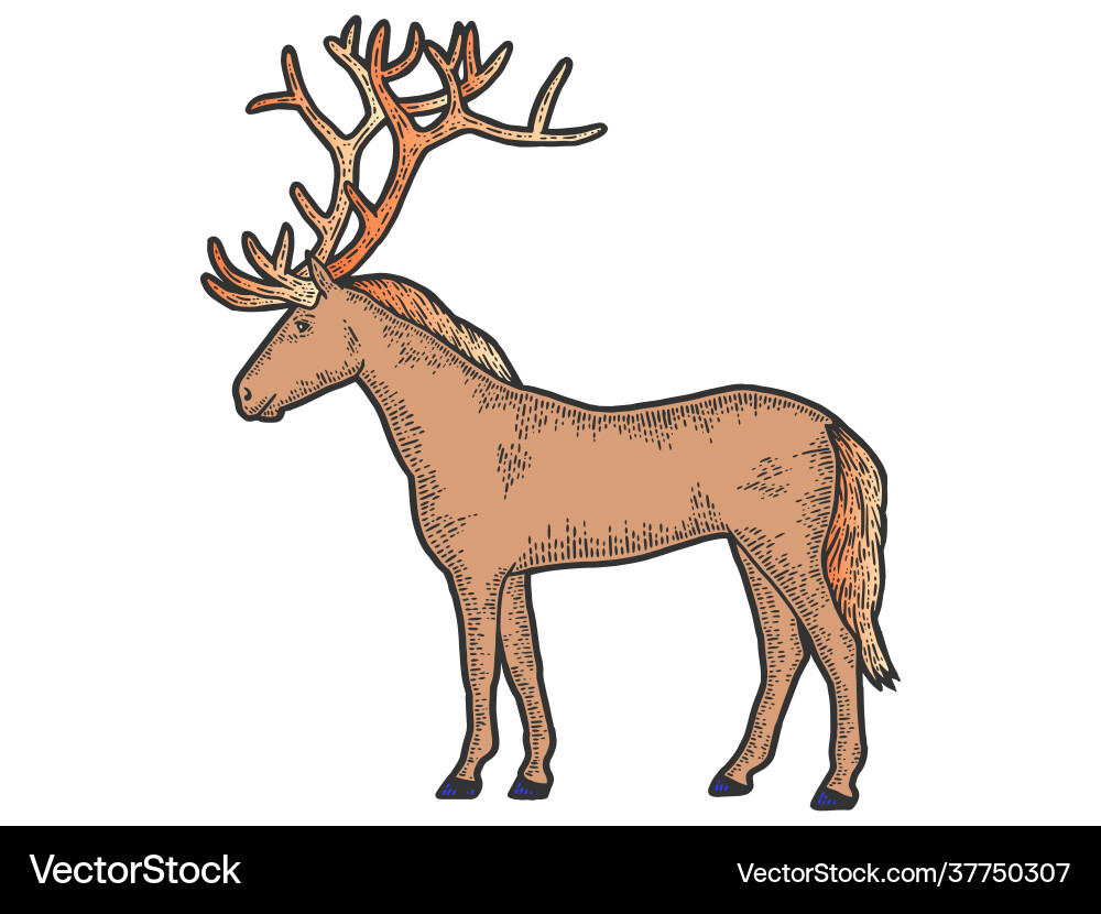 Horse with large deer sketch scratch board Vector Image