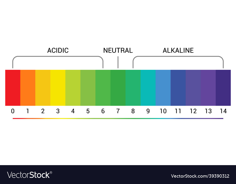 Ph scale indicator chart diagram acidic alkaline Vector Image
