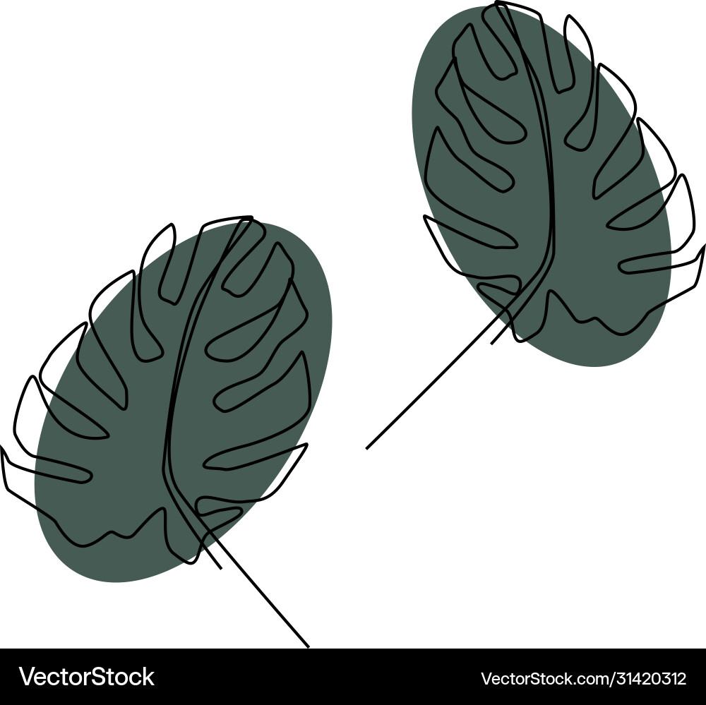 Plant natural green foliage botanic Royalty Free Vector