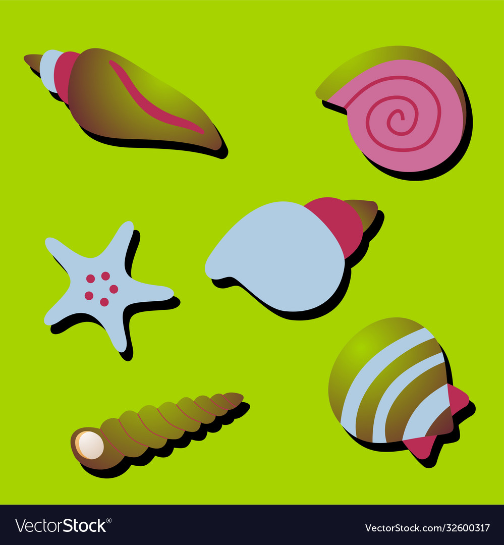 Sea shells and star Royalty Free Vector Image - VectorStock