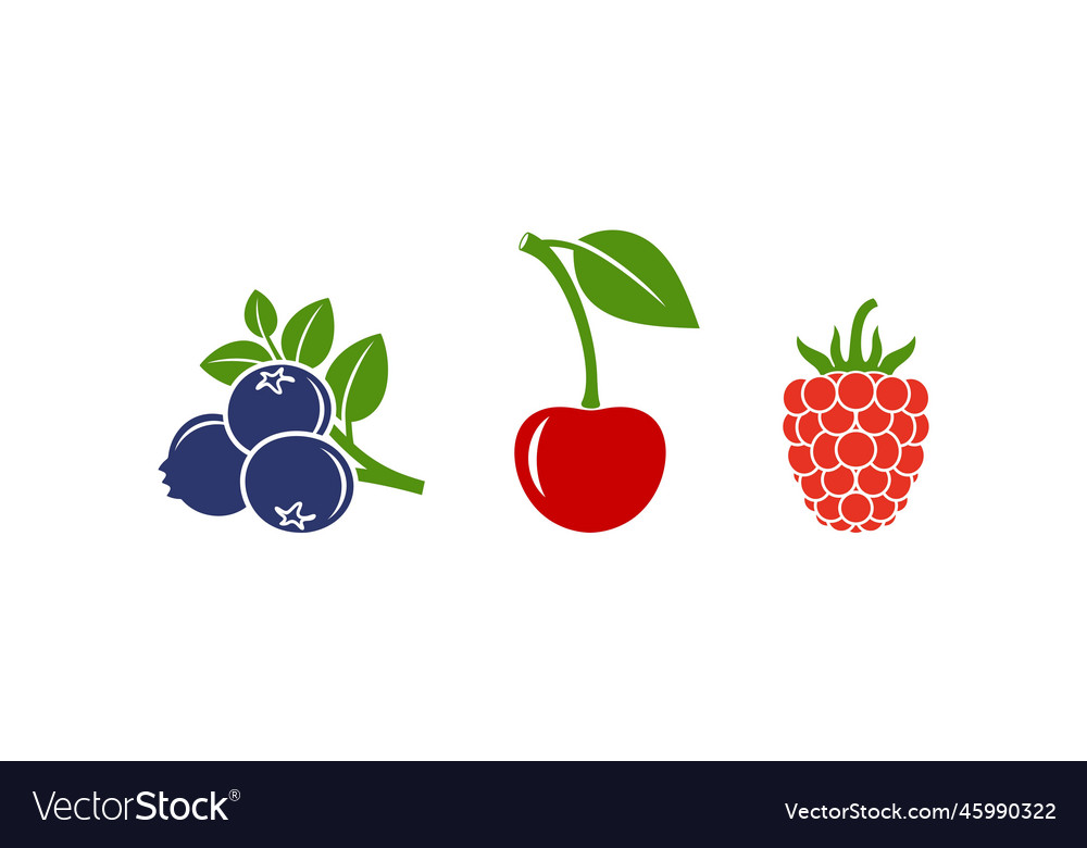 Berry Royalty Free Vector Image - VectorStock