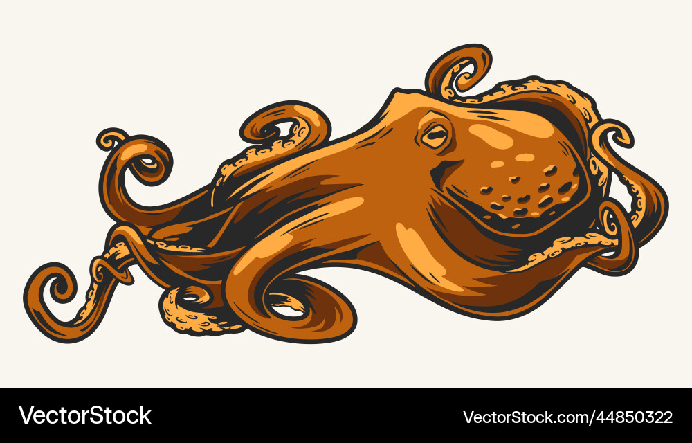 Ocean octopus detailed label colorful Royalty Free Vector