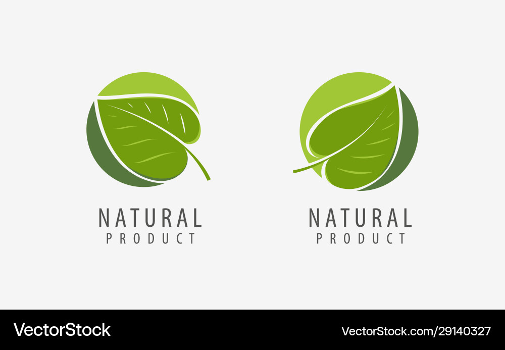 Natural product logo leaf symbol or label Vector Image