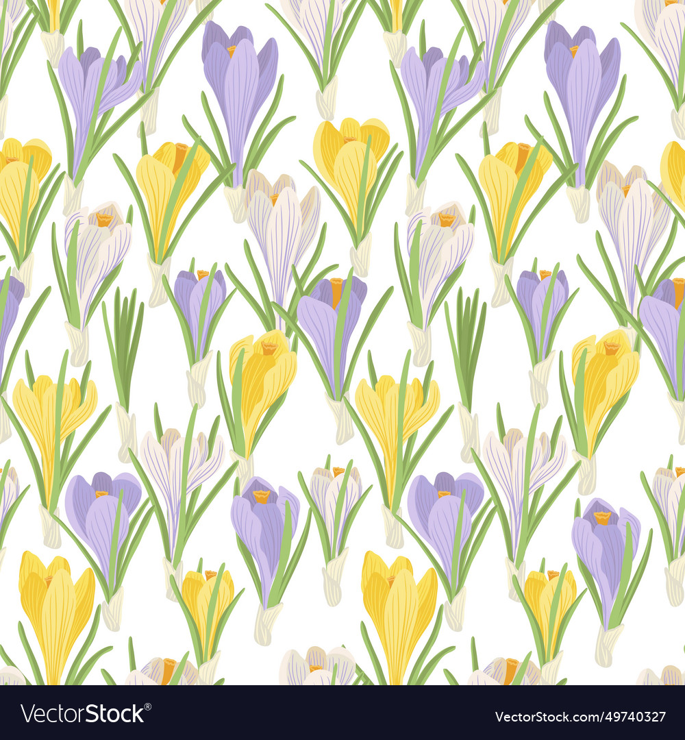 Seamless pattern with wild flowers crocus Vector Image