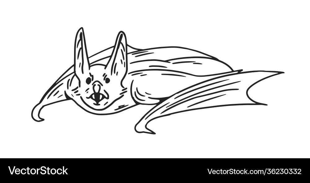 Spooky flying bat with fangs halloween sketch Vector Image