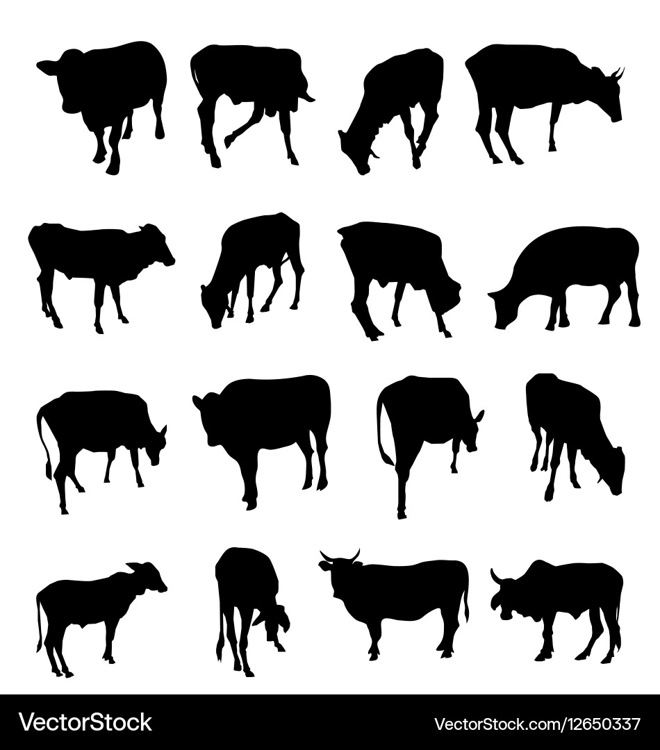 Cow set Royalty Free Vector Image - VectorStock