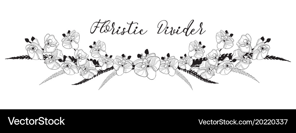 Delicate floral text divider orchid flower design Vector Image