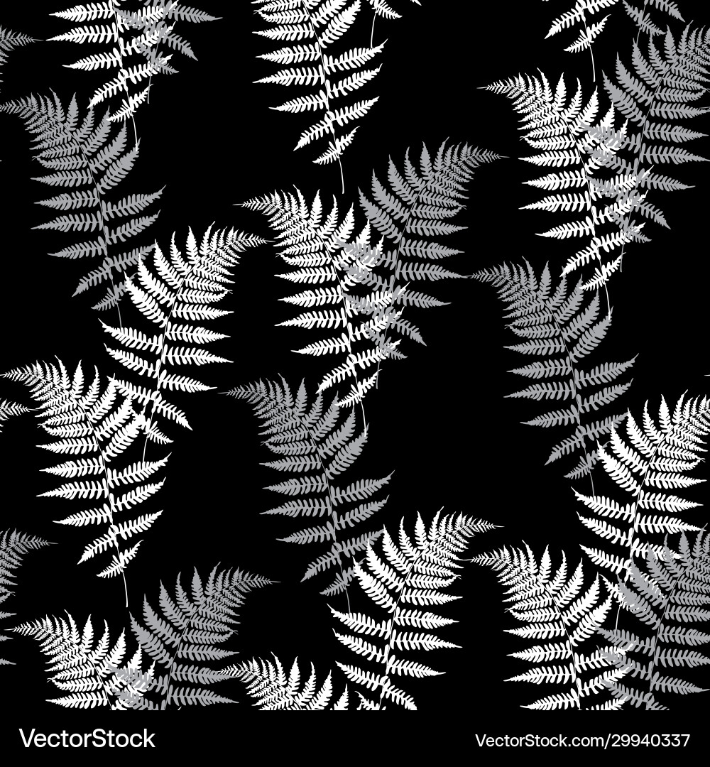 Graphic collection white and grey fern branches Vector Image